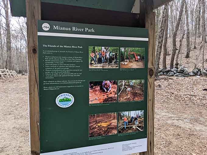 The Friends of Mianus River Park keep this place thriving, because even paradise needs a little help from its friends.