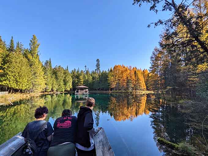 Kitch-iti-kipi's crystal-clear waters make you wonder if you accidentally drove to the Caribbean. Spoiler: you didn't.