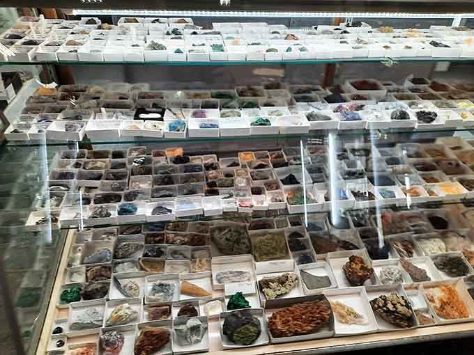 Mineral specimens displayed like nature's own jewelry collection, each rock telling geological tales from millennia past.