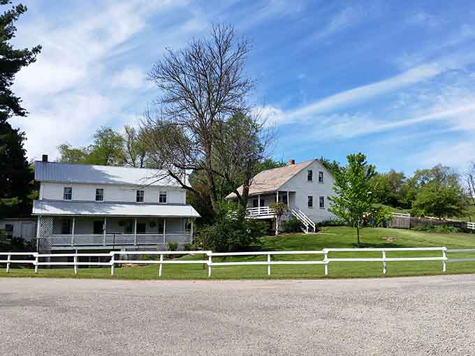 White farmhouses and pristine fences prove that simple living doesn't mean settling for ugly, just peaceful and purposeful.