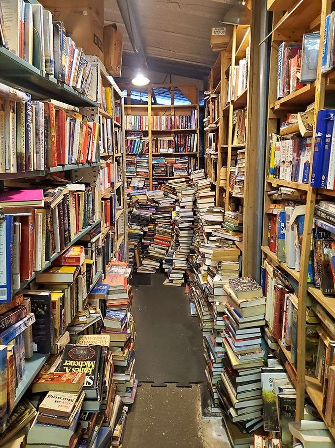 Book lovers, prepare yourselves: these towering stacks could keep you reading until the next millennium without repeating a title.