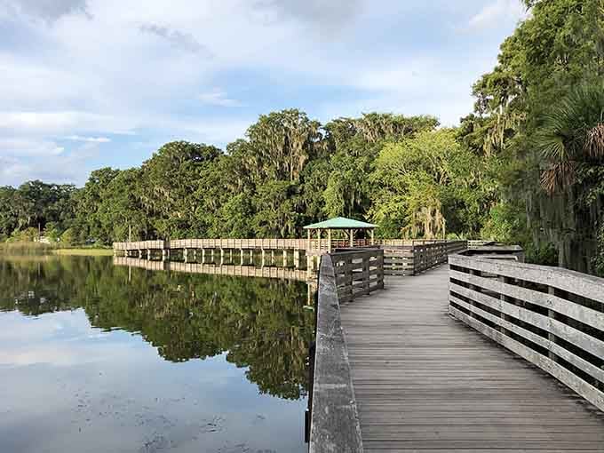 Palm Island Park's boardwalk proves Florida does have places where you can actually hear yourself think.