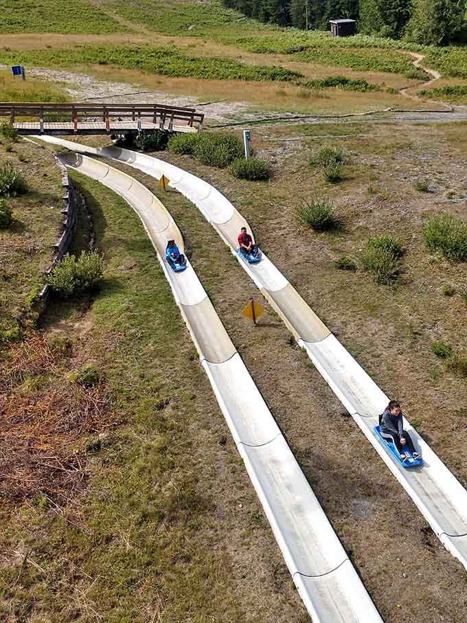 Two tracks mean double the fun, or in competitive families, double the bragging rights at dinner.