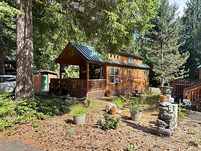 These cozy cabins offer the perfect compromise: you're technically camping, but your bed doesn't deflate at 3 AM.