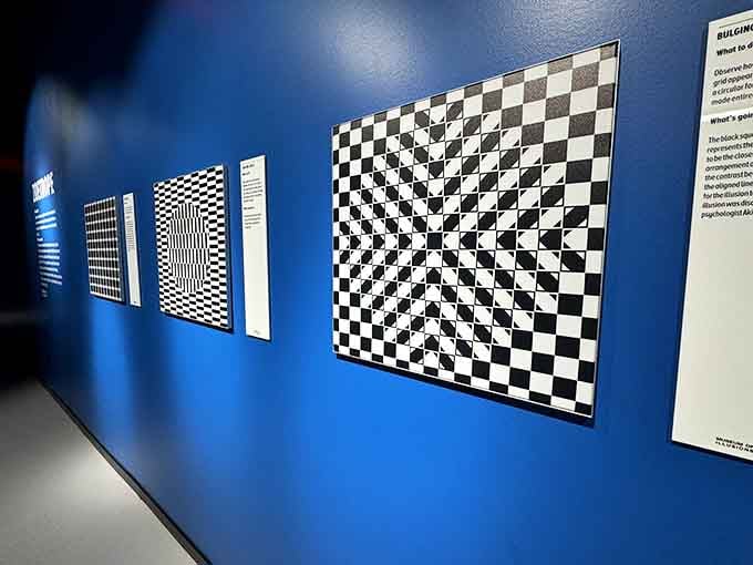 Checkerboard patterns that seem to ripple and wave, proving your eyes are terrible witnesses in any courtroom.