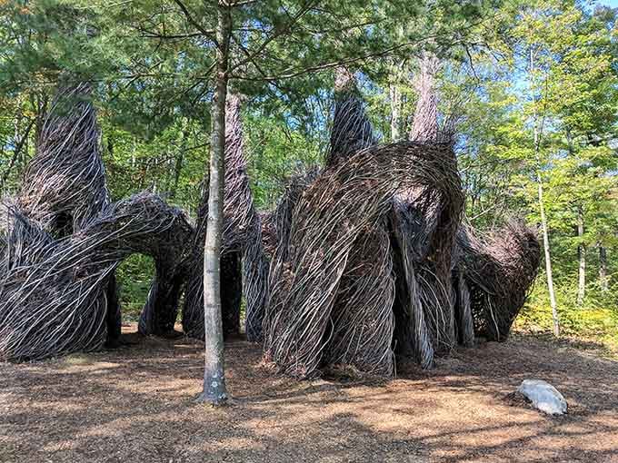 This massive stickwork sculpture looks like nature decided to try abstract art and absolutely nailed it on the first attempt.