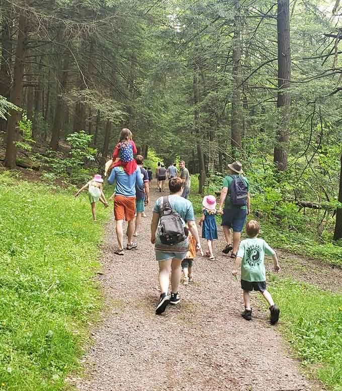 Families hiking together through towering hemlocks, proving that quality time doesn't require a single screen or subscription service.