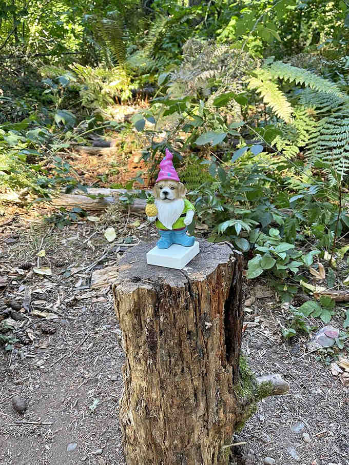 This dapper pup in a party hat proves that gnome villages welcome all creatures, furry friends included in the fun.