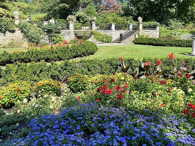 When the summer garden explodes with color, it's like a floral fireworks display that never ends.