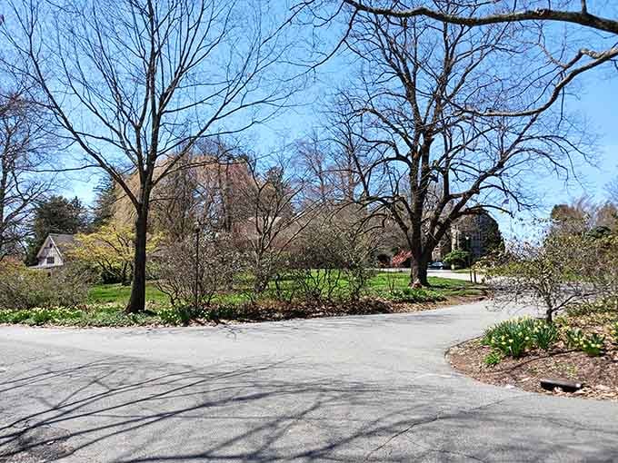 The winding paths invite exploration like a choose-your-own-adventure book, but with better scenery and less danger.