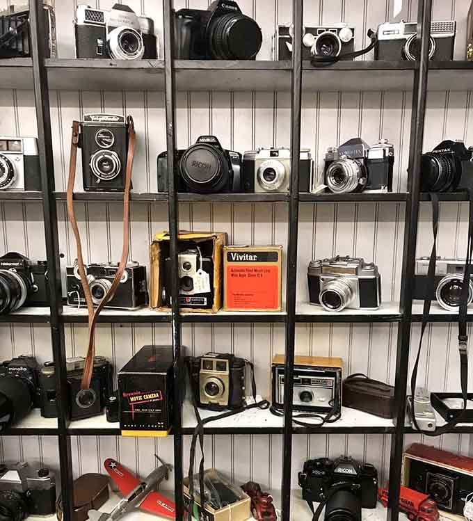 A wall of vintage cameras ready to capture memories the old-fashioned way, batteries not included or needed.