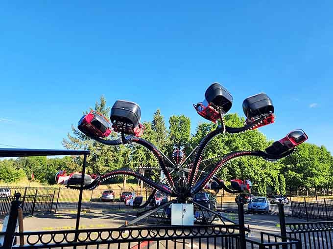 This spinning contraption proves that humans will pay money to feel like laundry in a dryer cycle.