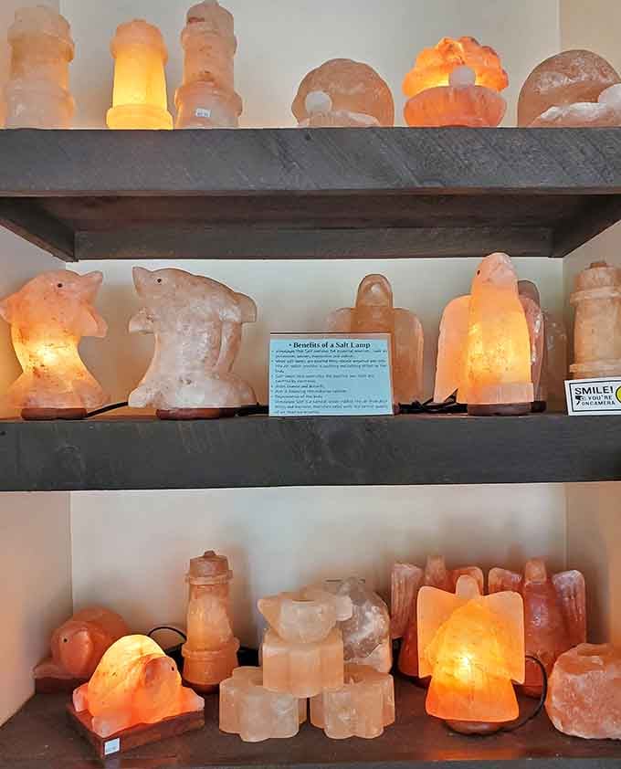 Salt lamps in every shape imaginable, from adorable animals to classic designs that'll warm any room beautifully.