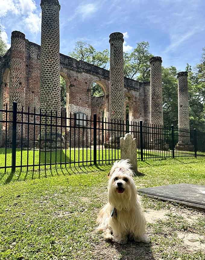 Even the local pups know this spot deserves respect, posing like they're auditioning for Southern Living.