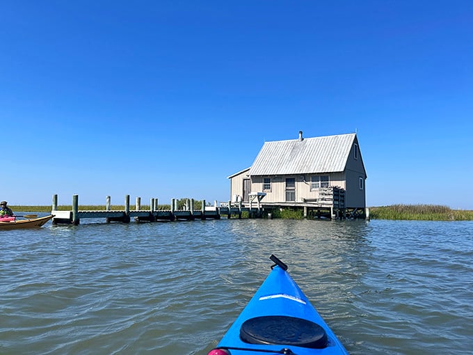 Sometimes the best adventures involve a kayak, open water, and absolutely nowhere you need to be.