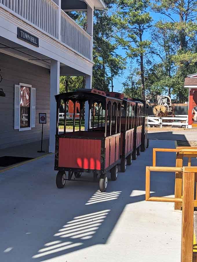 The train pulls into Townhall Station, ready to whisk passengers away on adventures their grandparents would have loved.