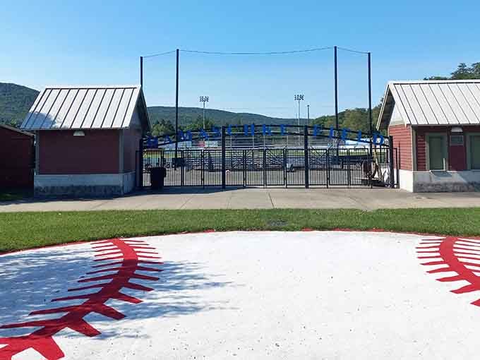 Local sports facilities like Damaschke Field keep the community connected and give you reasons to cheer outdoors.
