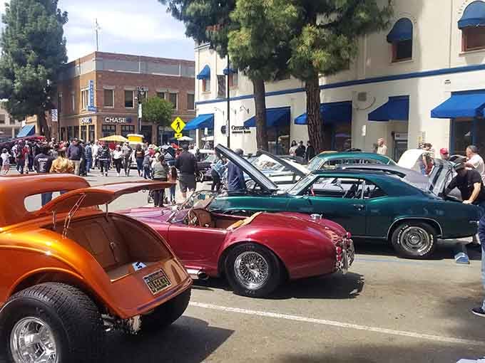 Classic car shows transform Old Towne into a rolling museum where chrome gleams and nostalgia runs as thick as motor oil.