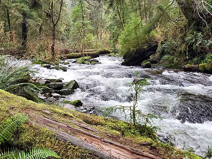 Moss-covered rocks and rushing water create a scene so Pacific Northwest, you'll expect Bigfoot to photobomb.