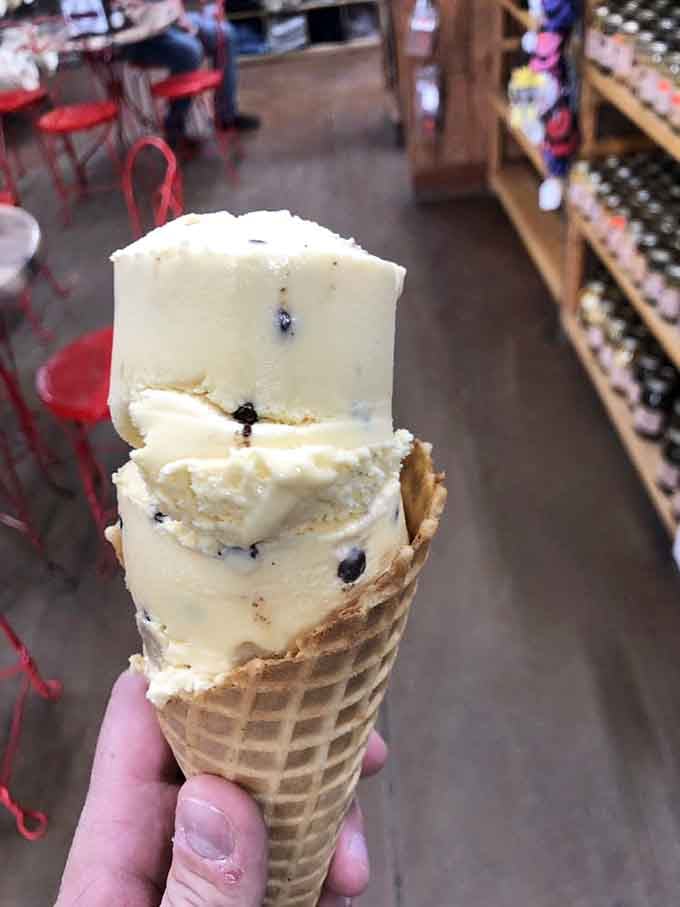 Behold the cone of dreams: creamy vanilla studded with chocolate chips, melting faster than your willpower in the desert heat.