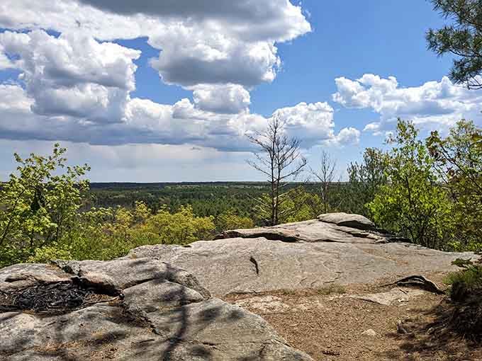 This sweeping vista stretches for miles, offering views that'll make your Instagram followers think you left the state.