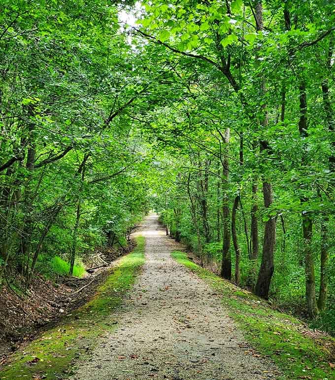 This path practically begs you to follow it, promising adventures that don't require a passport.