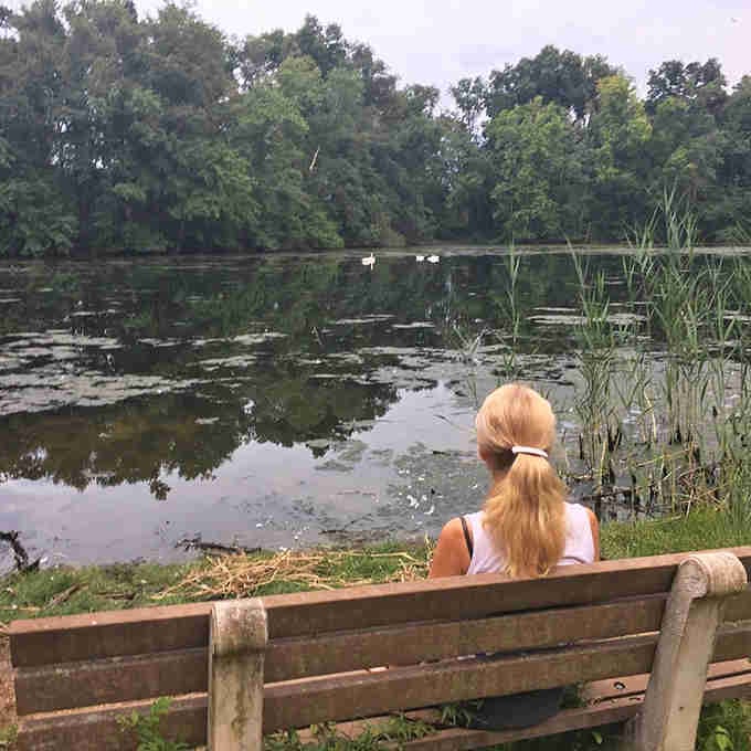 Sometimes the best seat in the house is a weathered bench overlooking lily pads and pure tranquility.