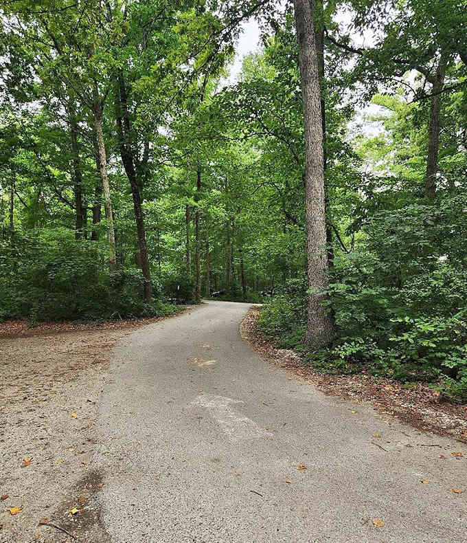 Paved trails mean you can enjoy nature without sacrificing your ankles to the hiking gods. Compromise isn't always bad.