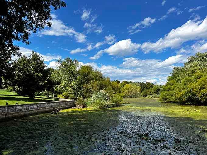 The serene pond reflects clouds and sky, creating a peaceful mirror that makes you forget you're in the city.