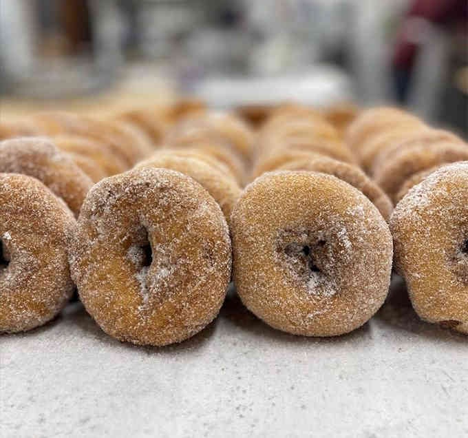 Sugar-dusted donuts that taste like autumn decided to become a pastry and succeeded spectacularly.