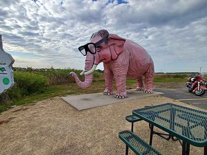 That moment when you realize the elephant in the room is actually outside, pink, and absolutely fabulous.
