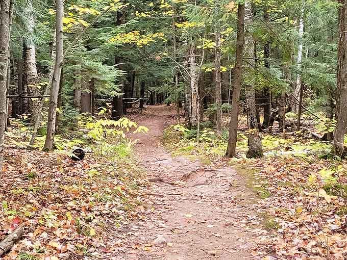 These trails wind through woods so peaceful, even your thoughts quiet down to listen to nature's soundtrack.