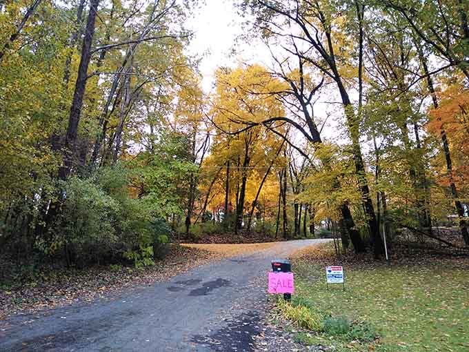 Fall colors that make you forget you're still in Ohio and not some fancy New England postcard.