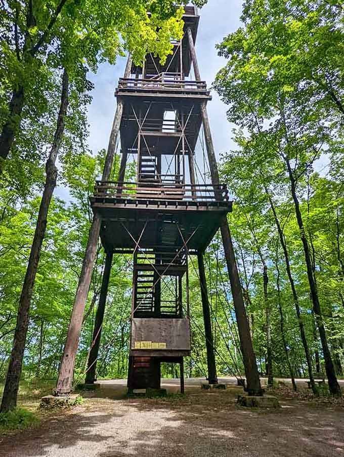 The observation tower stands like a sentinel, promising views that'll make your camera work overtime.