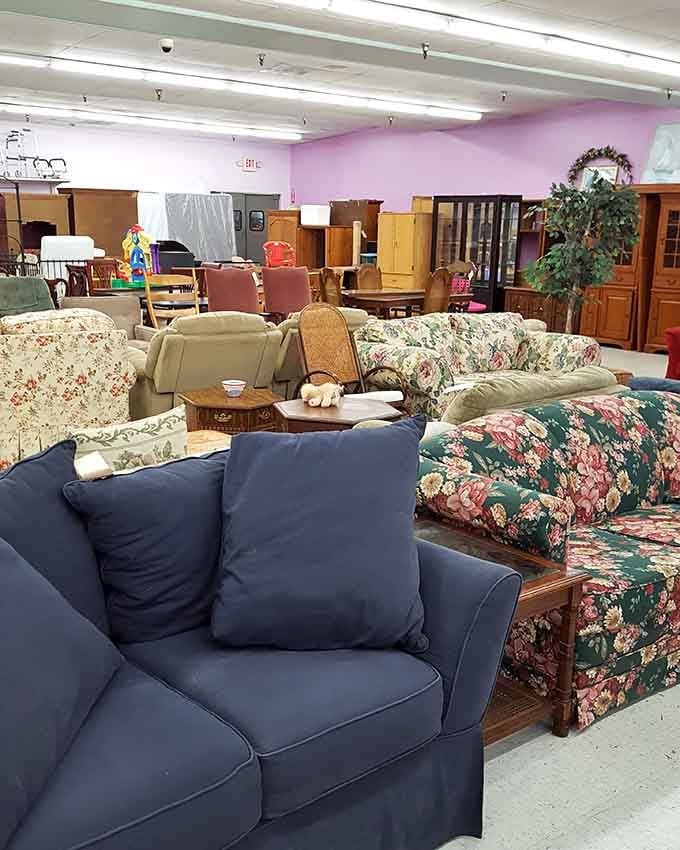 This furniture showroom proves one person's "time to redecorate" is another person's "jackpot moment" in pink-walled paradise.