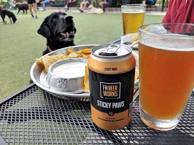 Nothing says Colorado afternoon like cold craft beer and a black lab photobombing your patio experience.