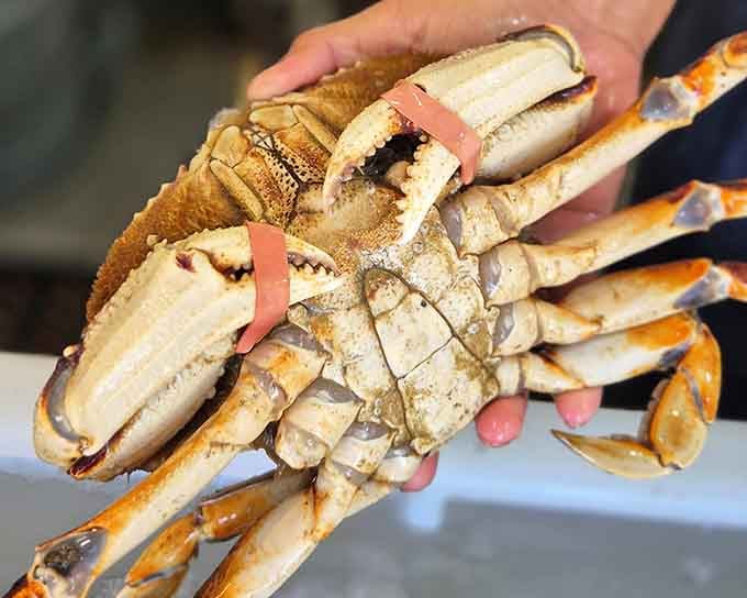 Those golden claws hold sweet, delicate meat that'll make you question why you ever ordered anything else.