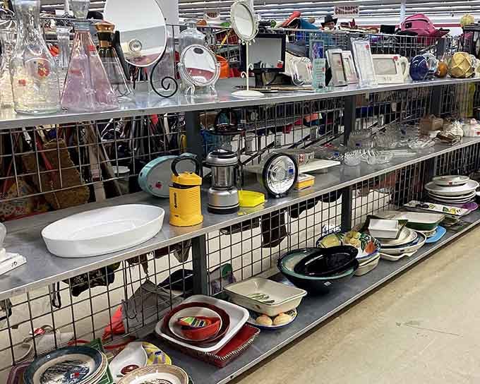 Kitchen gadgets and decorative treasures line the shelves like a museum of domestic life from decades past.