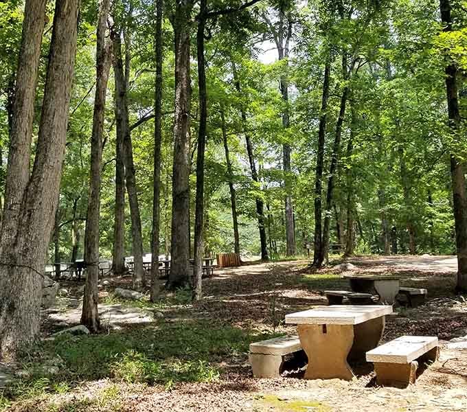 Shaded picnic spots offer the perfect place to contemplate what you just saw underground while enjoying your sandwich.