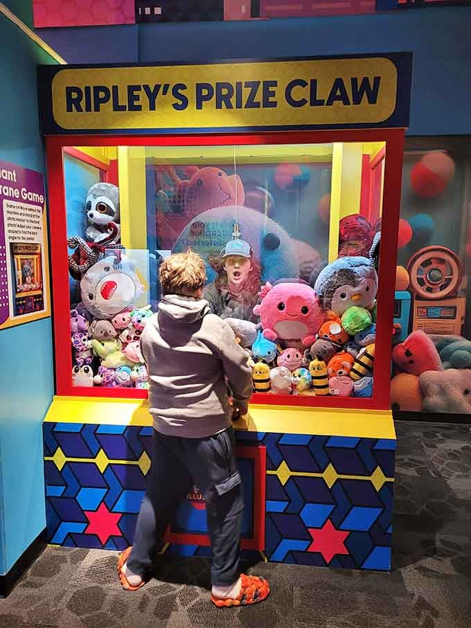 Finally, a claw machine where you're the prize and the whole family gets to laugh at you.