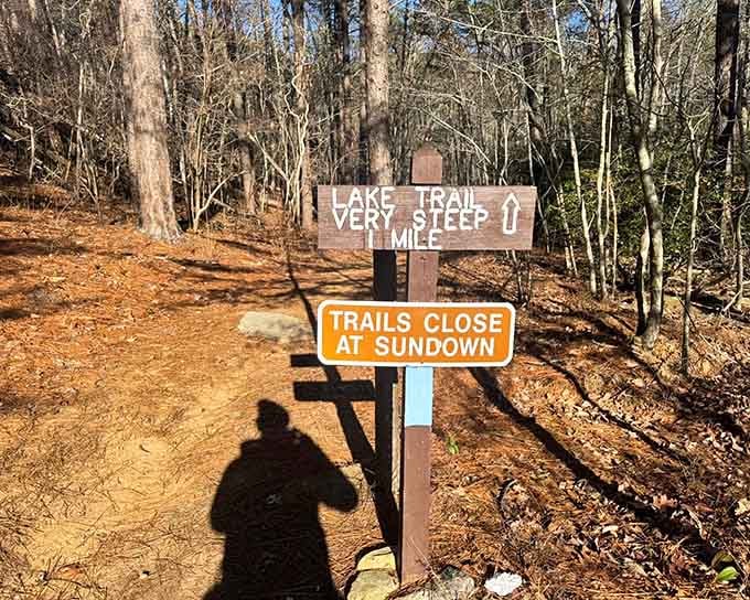 Fair warning: this trail doesn't mess around, and those rocks ahead mean you've earned your adventure badge.
