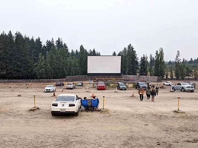 Prime real estate secured, screen perfectly centered, now the only decision is snacks or more snacks.