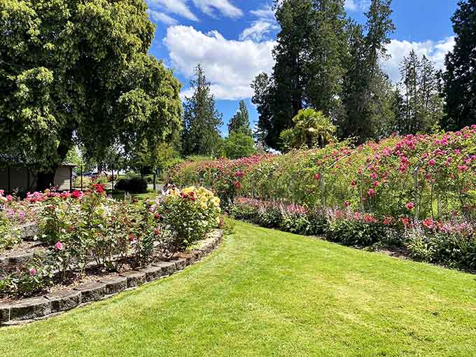 Manicured lawns meet explosion of color in a garden that clearly doesn't believe in doing anything halfway.