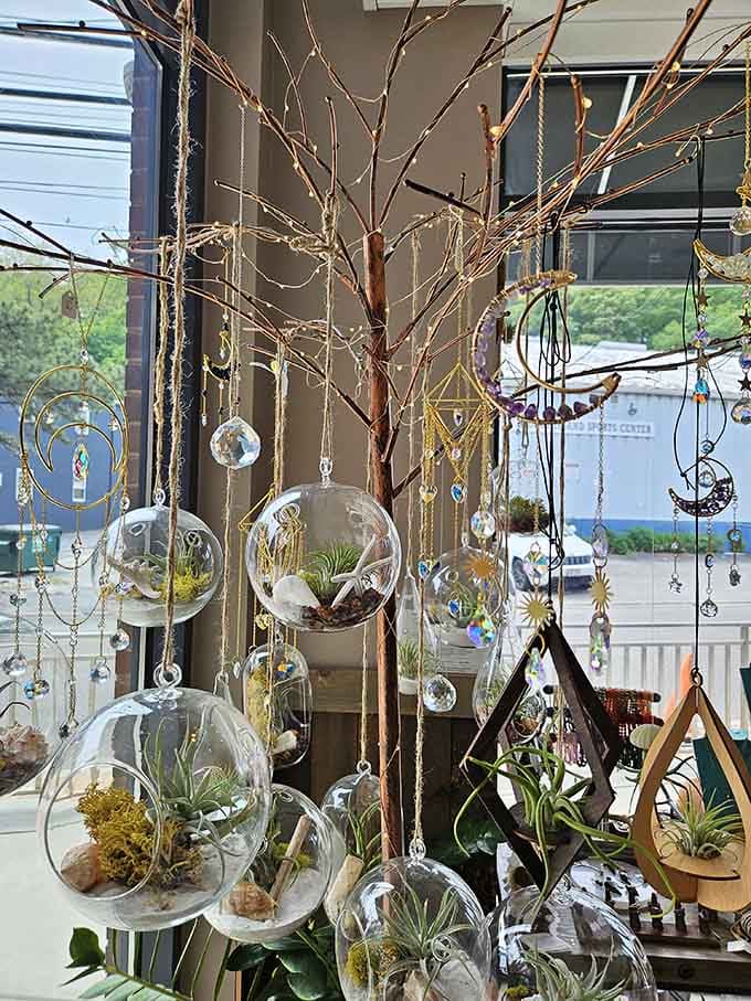 These hanging terrariums bring a touch of zen garden elegance to the welcoming retail space.