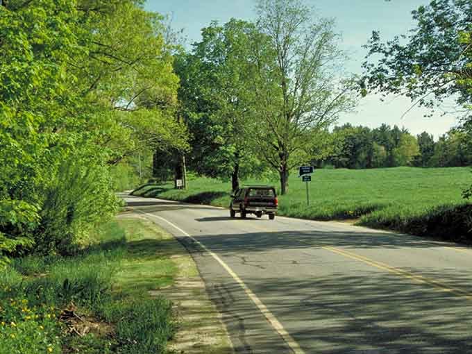 That truck ahead isn't rushing anywhere, and honestly, why would it on a road this beautiful?
