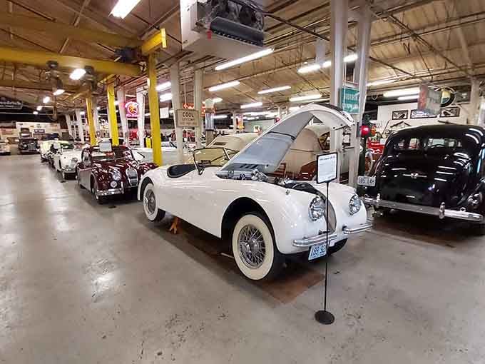 Elegant curves and pristine white paint prove that some cars age more gracefully than most of us ever will.