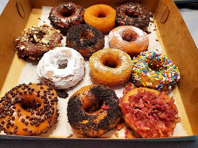 A dozen donuts that look like they belong in an art gallery, if art galleries were delicious.