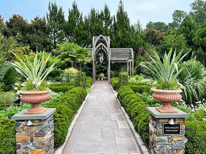 Symmetry meets serenity in a garden gateway that makes you want to walk slower and breathe deeper.