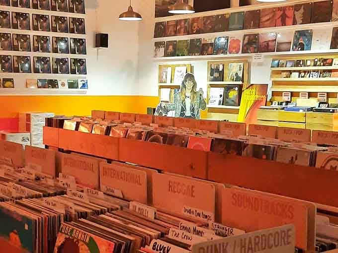Rows of records organized like a library where every spine holds a potential life-changing listening experience.