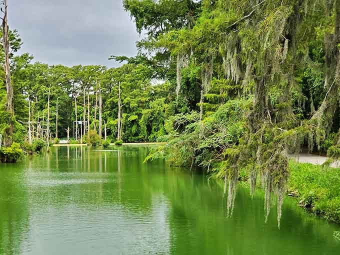 This isn't a screensaver—it's the real view you'll get while contemplating life from one of the garden's peaceful overlooks.
